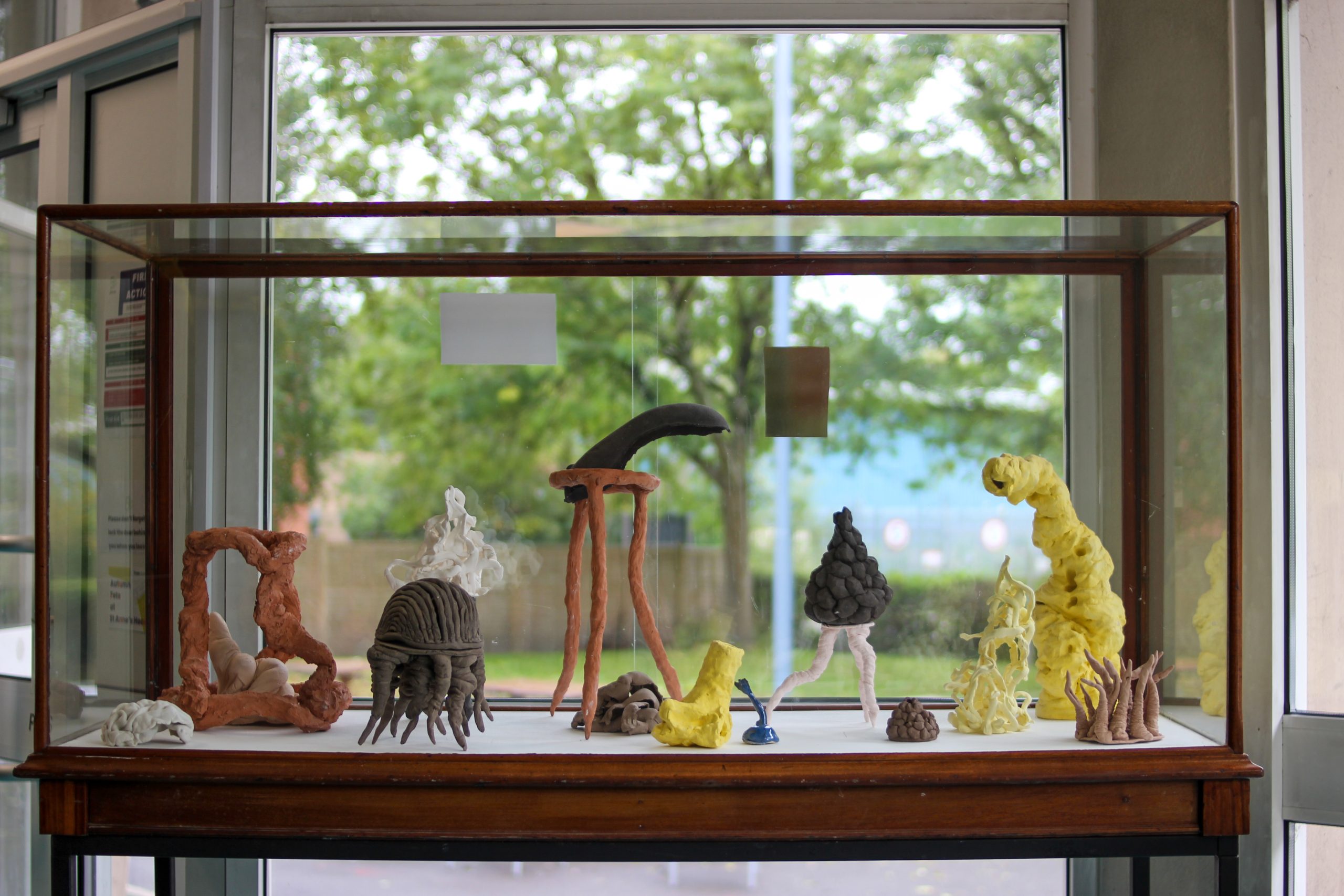 Curio - St Anne's House - St Anne's House