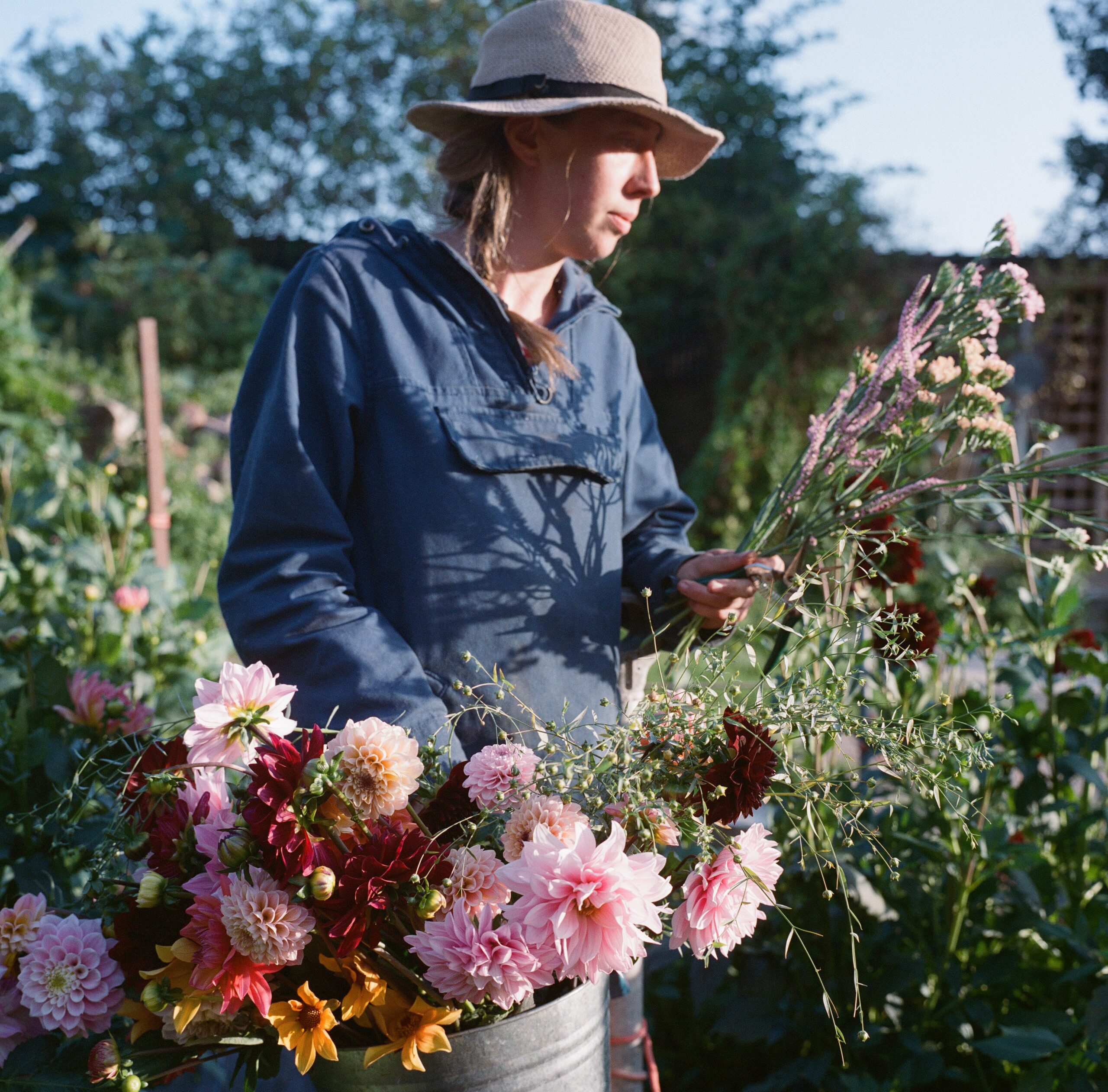 Garden Folk at SAH - St Anne's House - St Anne's House